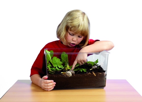 Plastic vivarium